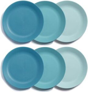 US Acrylic Everest Ultra-Durable Plastic Dinner Plates - Planets Houp